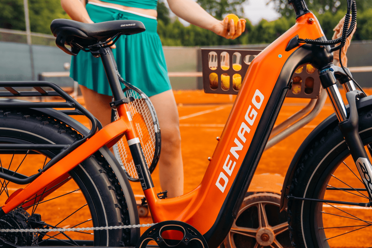 Denago Fat Tire 2 Step-thru eBike